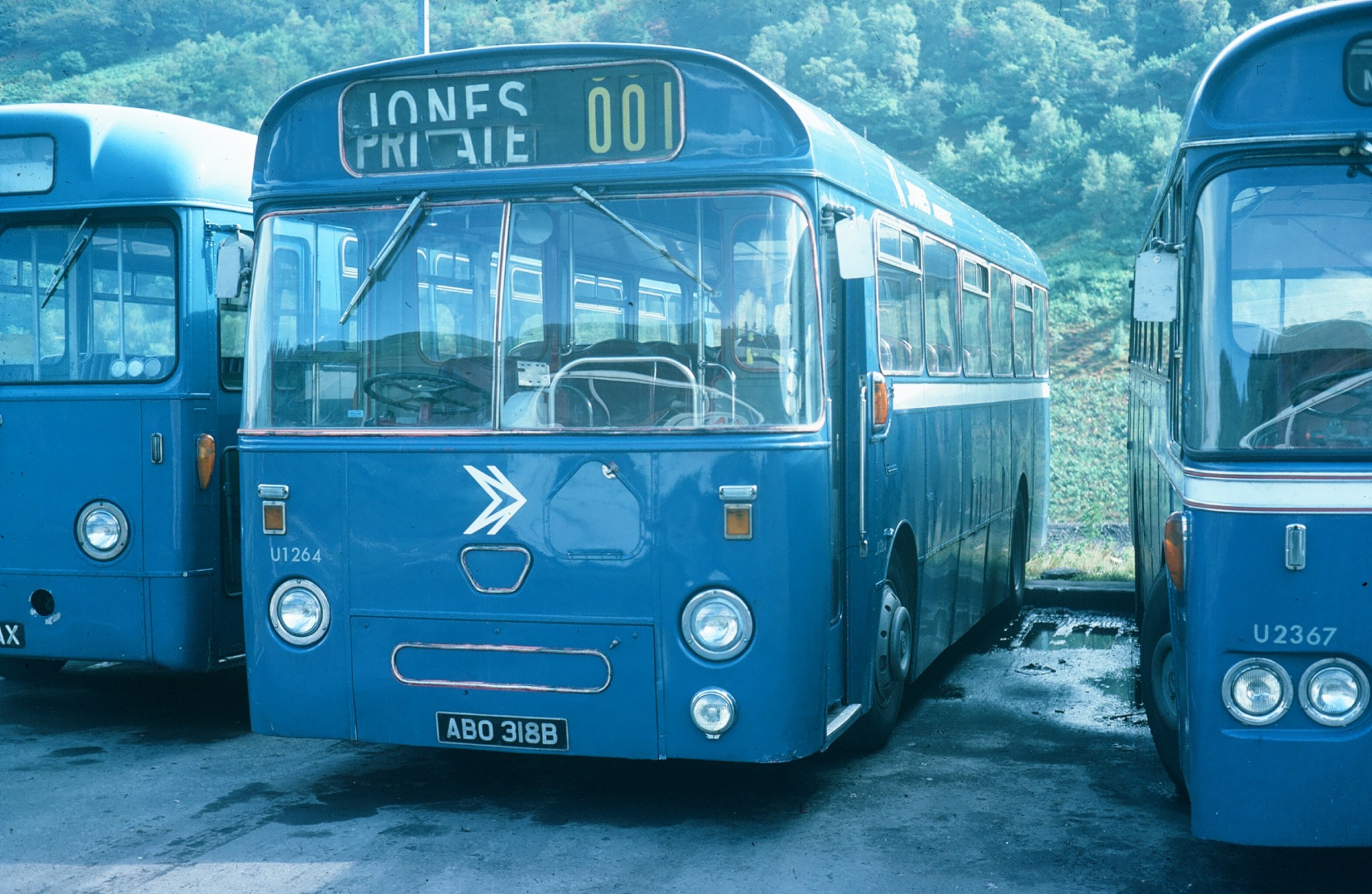 The story of the blues – National Bus Company Corporate Identity Manual
